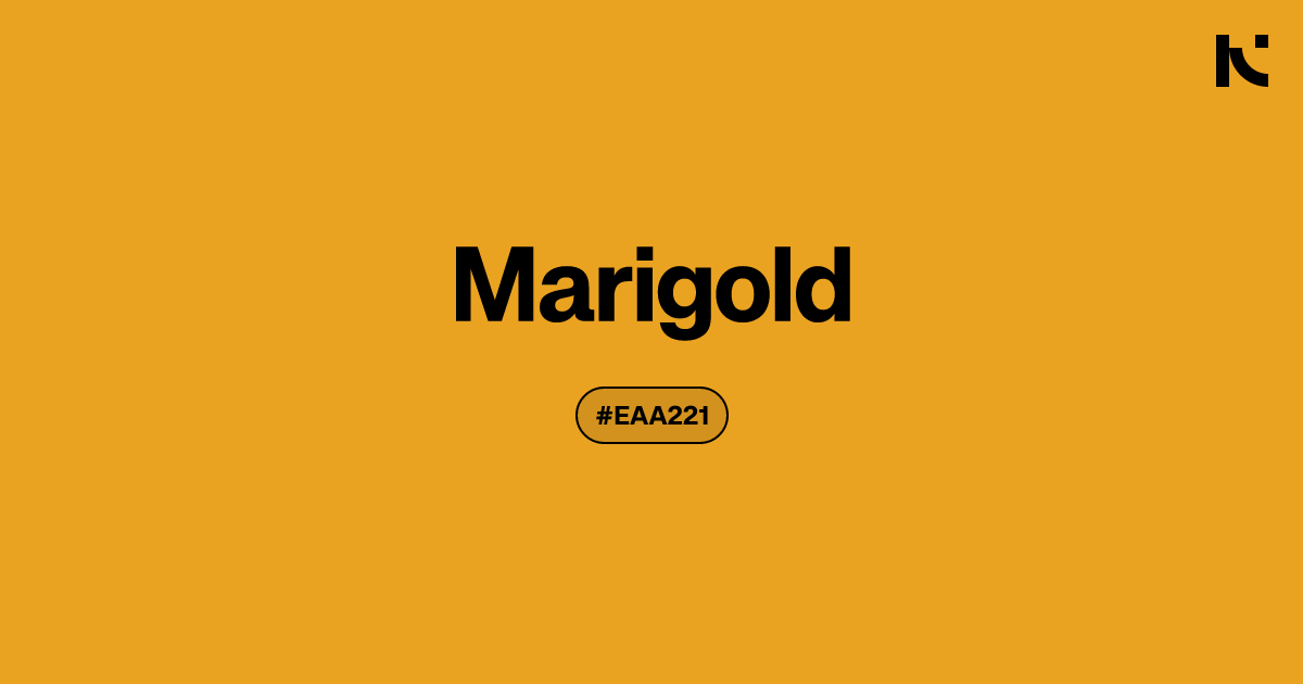 Marigold | color meaning, hex code, palettes, images