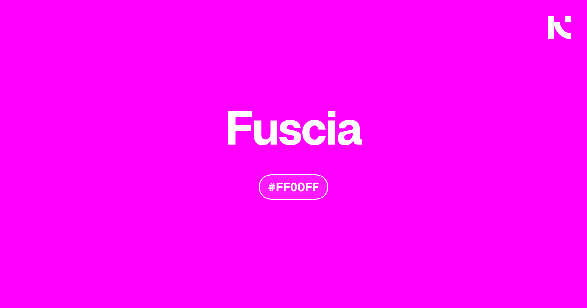 Fuscia | color meaning, hex code, palettes, images